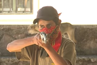 První zprávy - Domácí - Evropské drogové gangy a děti s kalašnikovy